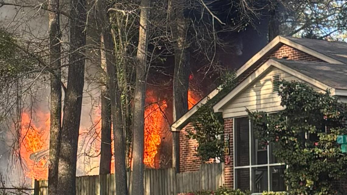 Person found dead in Thursday afternoon house fire identified | wltx.com