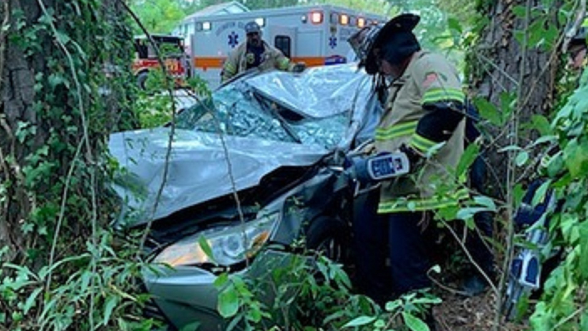 Tree falls on moving car on Piney Grove Road in Irmo, SC | wltx.com