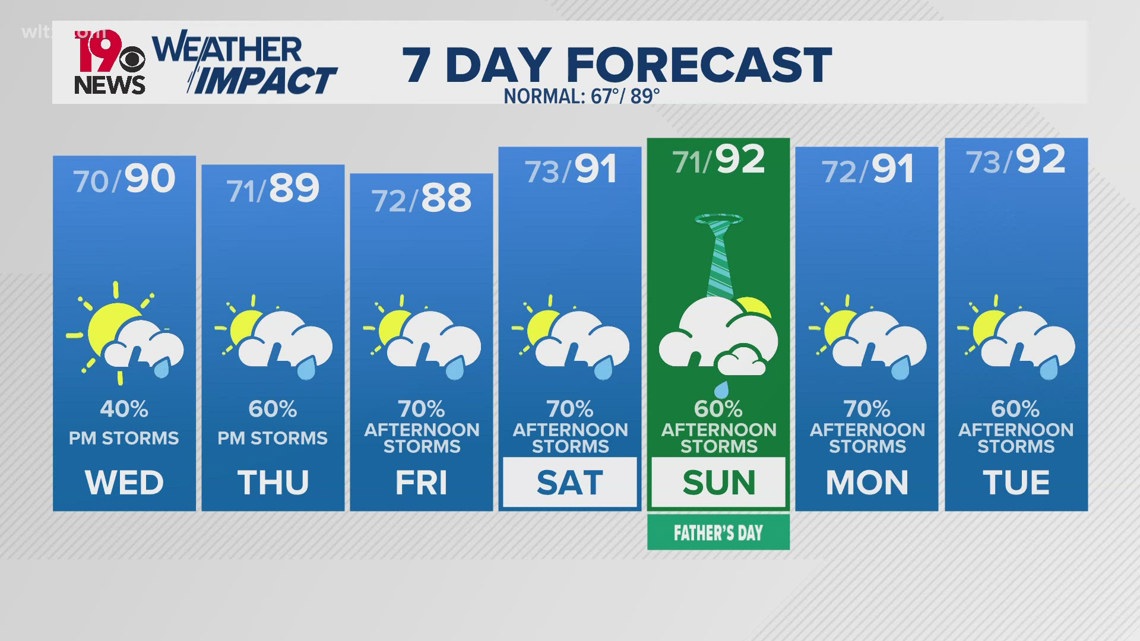 South Carolina unveils new, trackable temporary license plates | wltx.com