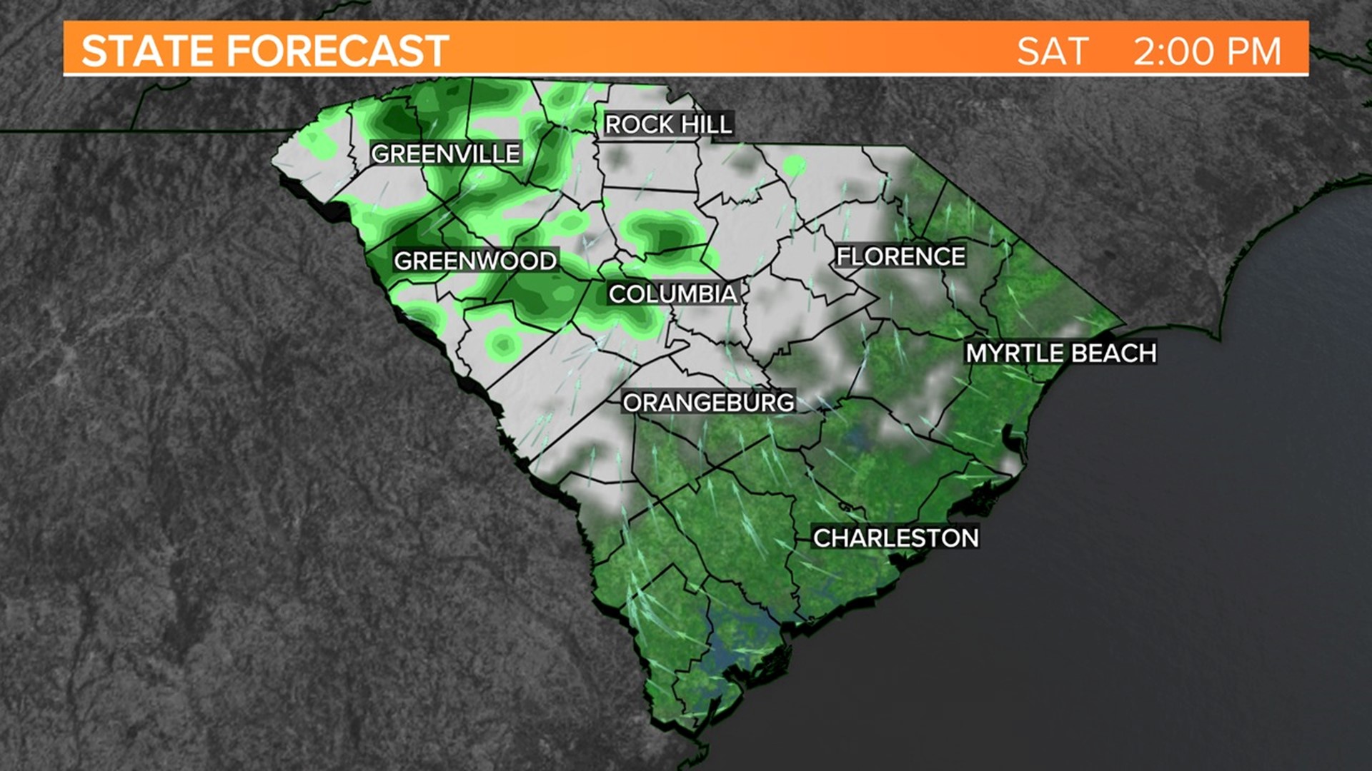 Warm South Carolina weekend weather, storms possible Sunday | wltx.com