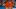 Clemson basketball's ACC schedule coming into focus | wltx.com