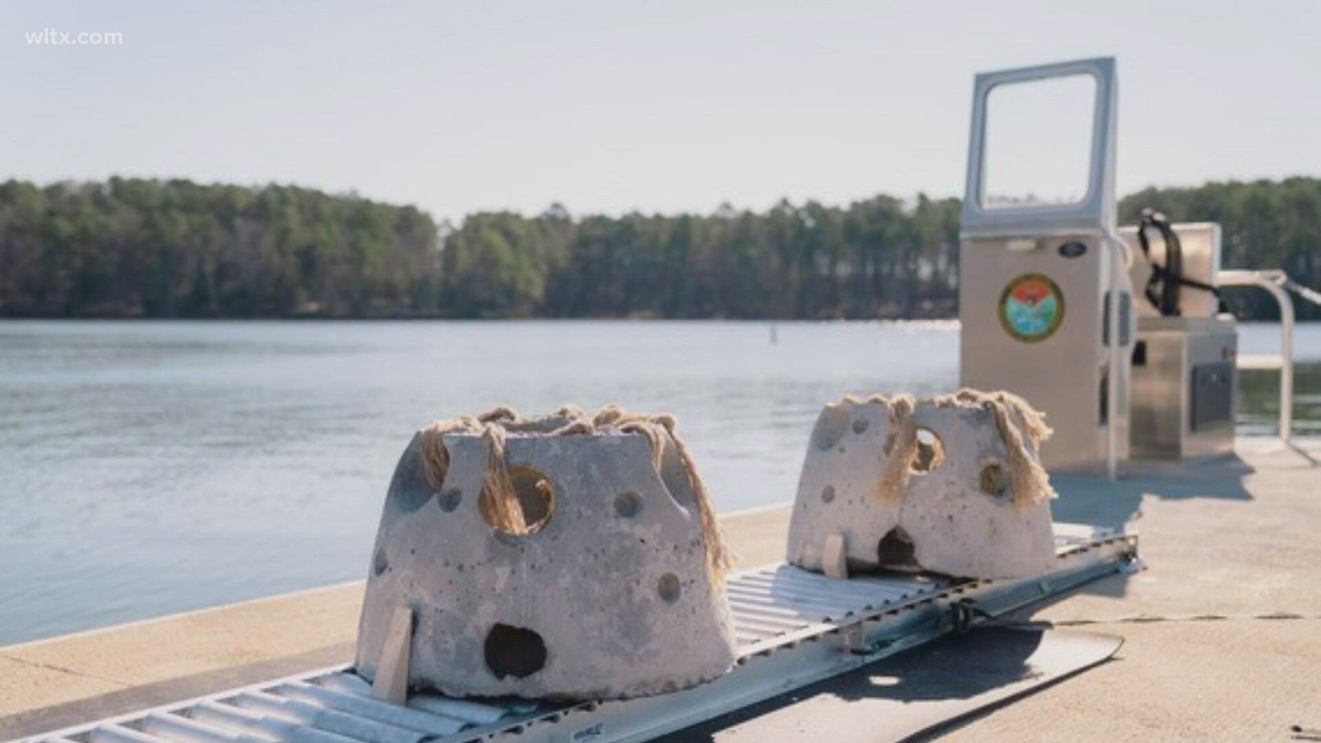 SCDNR deploys reef balls to improve fish habitat in Lake Murray | wltx.com