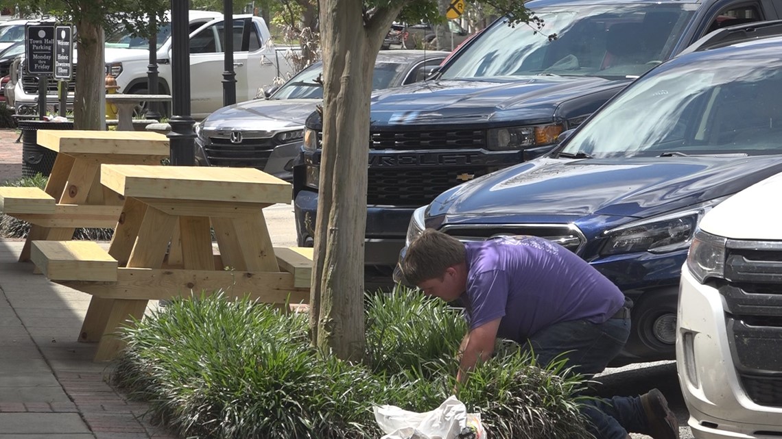 4-h volunteers plant flowers in downtown Elloree | wltx.com