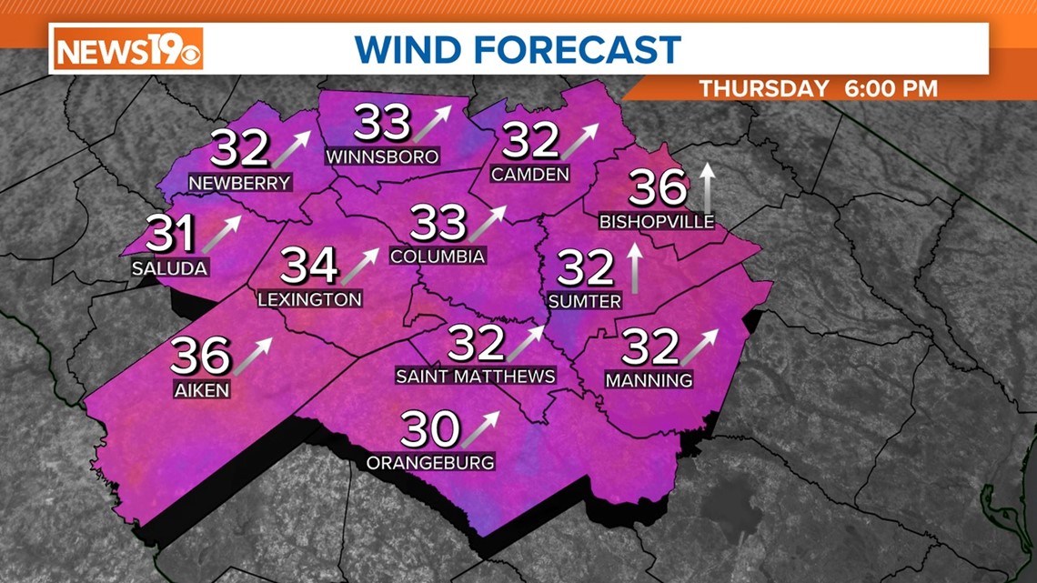 Windy South Carolina Weather Conditions | wltx.com