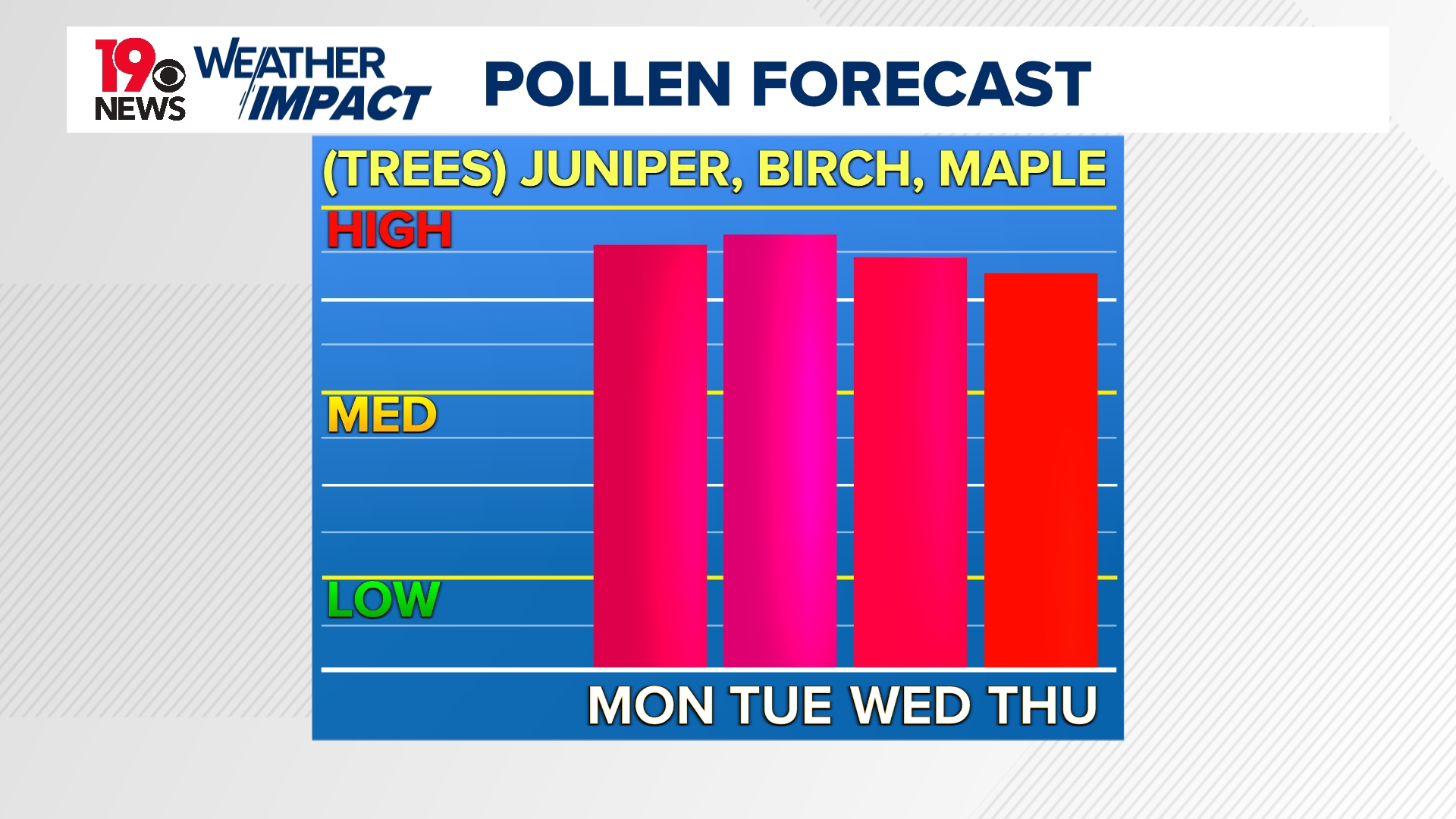 The science of pollen, and why it's everywhere | wltx.com