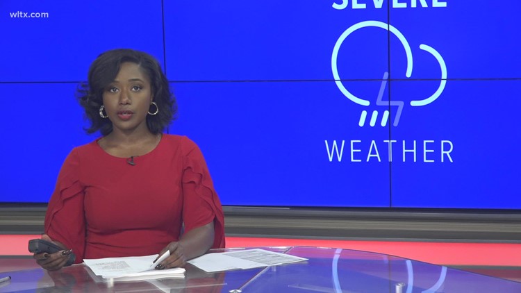 Meet the WLTX Team | Columbia, SC | WLTX.com | wltx.com