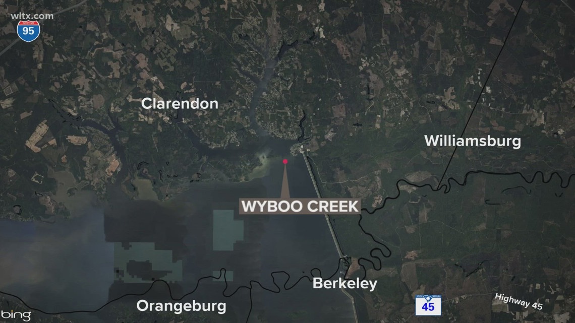 Boater seriously injured after being struck by propeller in South ...