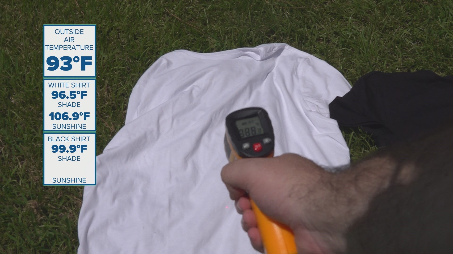 The color of your shirt makes a hug impact in the Summer months | wltx.com