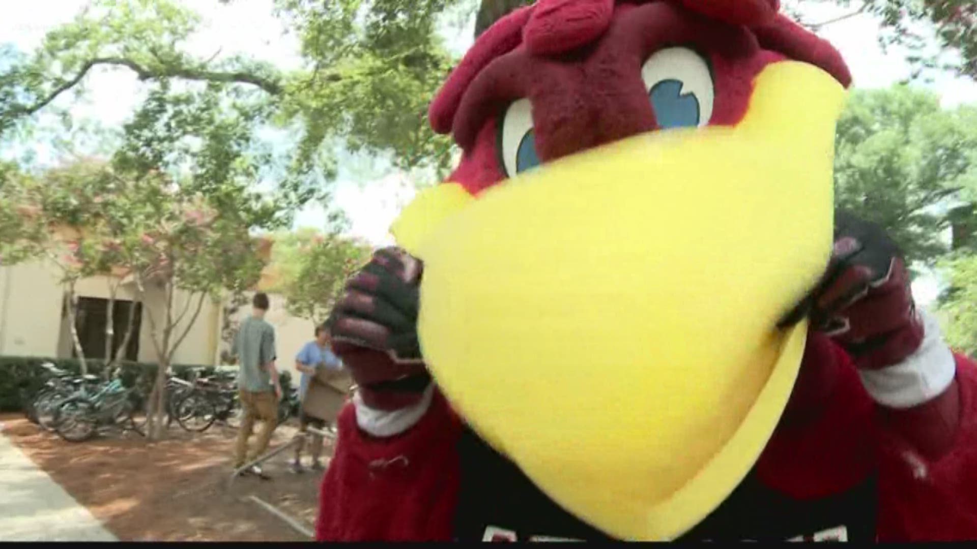 Three Problems Students Face During Freshman Year of College & How to ...