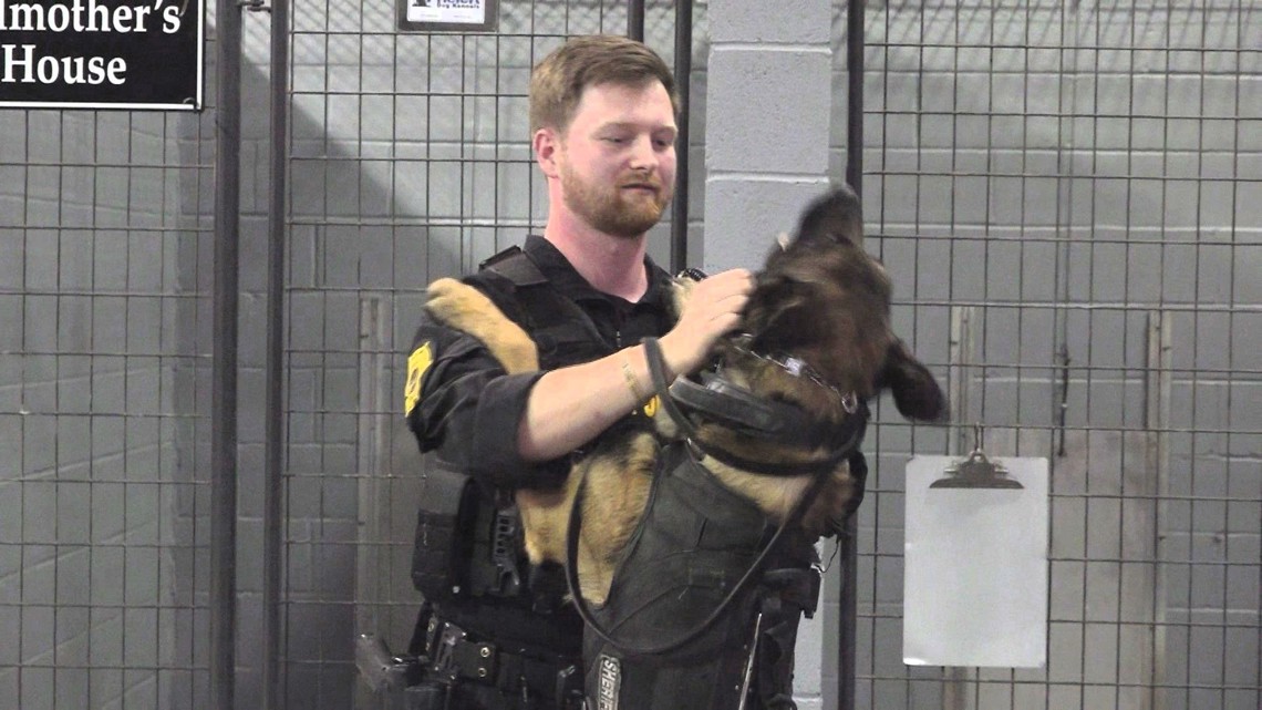 K-9 Kobe returns: Hero dog takes bullet for handler | wltx.com