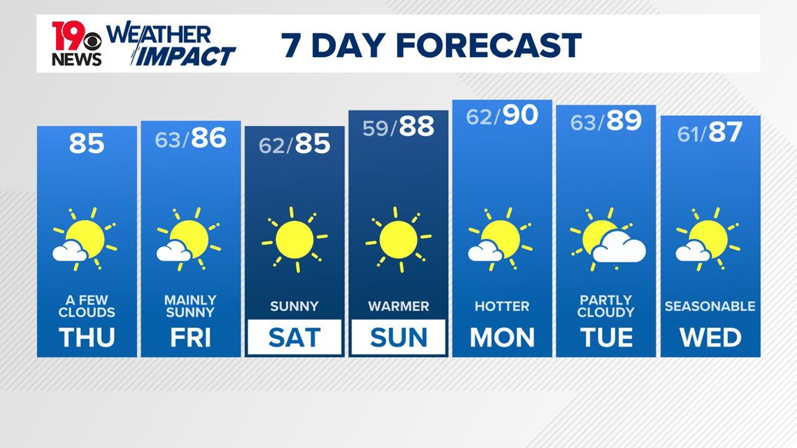 Tommy Brailey’s car, remains found after seven years in Sumter swamp ...