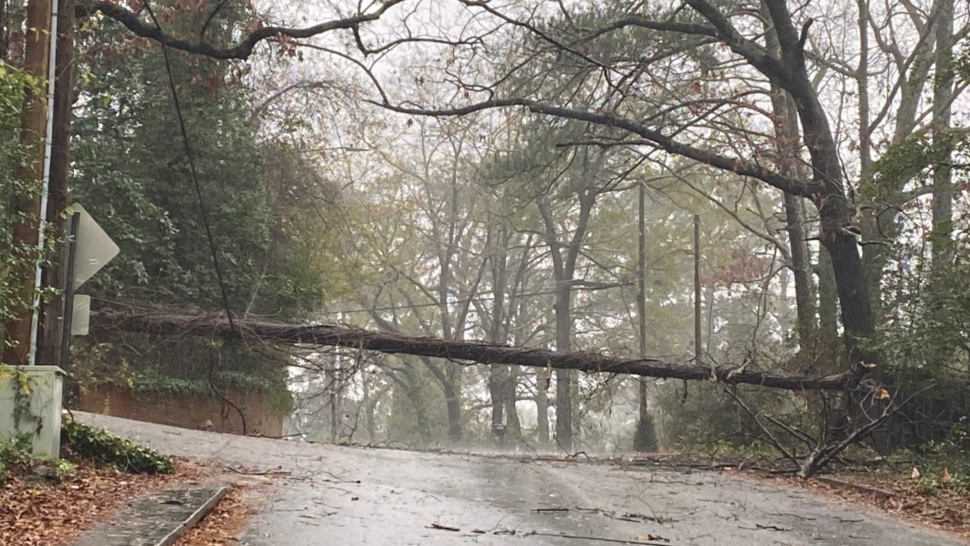 Live updates: Severe weather in South Carolina | wltx.com