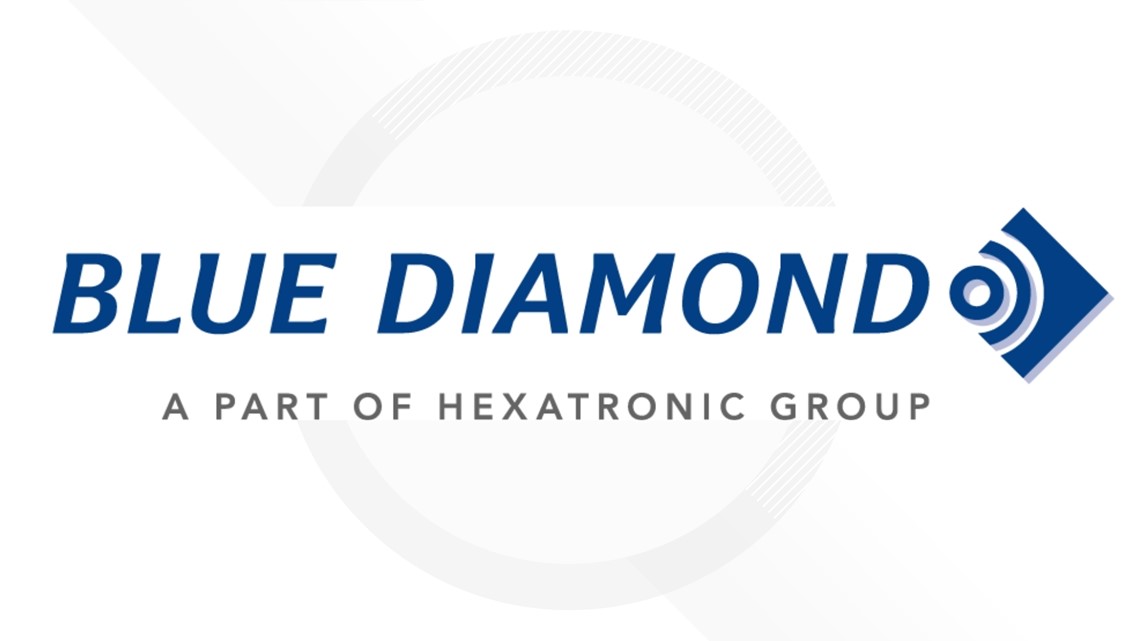 Blue Diamond Industries is coming to South Carolina | wltx.com