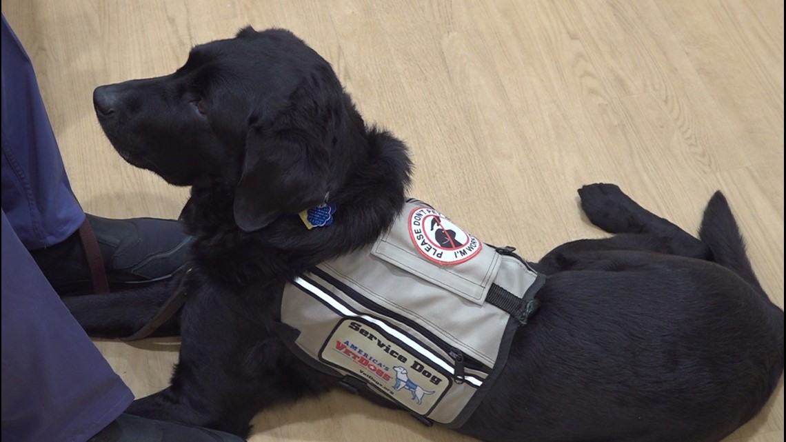 Local veteran's journey to recovery with his service dog | wltx.com