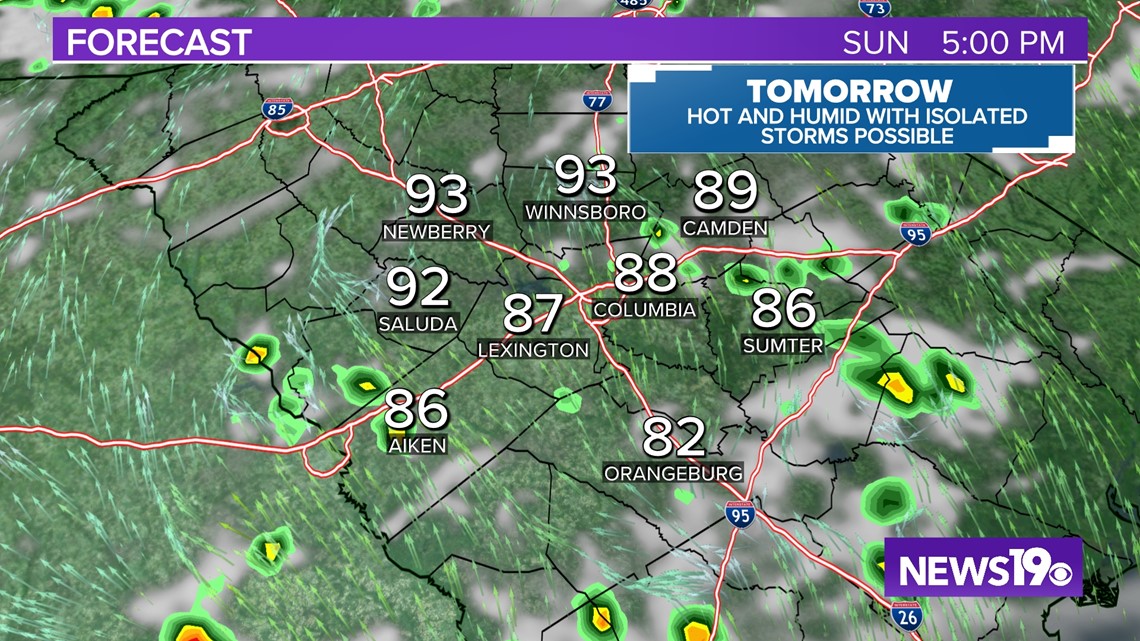 Sumter Street Squad Local News | Sumter, South Carolina | wltx.com ...