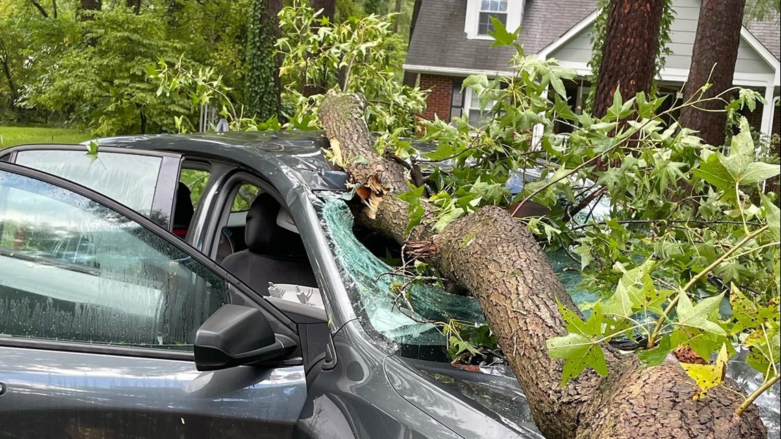 Tree falls on car in Forest Acres, narrowly missing mother, baby | wltx.com