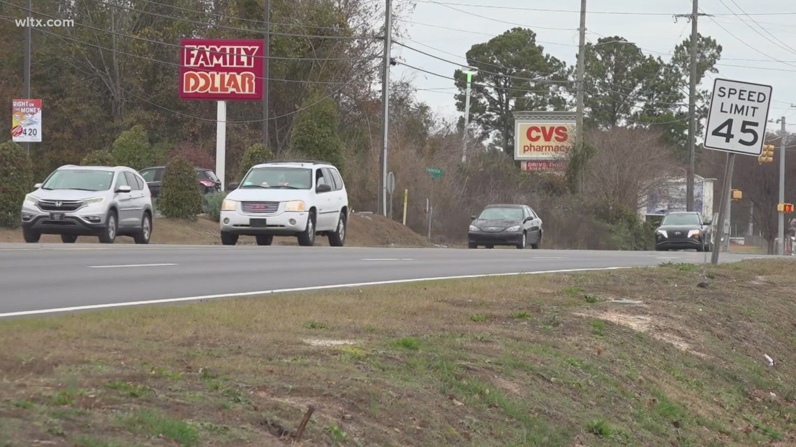 New details in Cayce crash that killed Joyce Backman | wltx.com