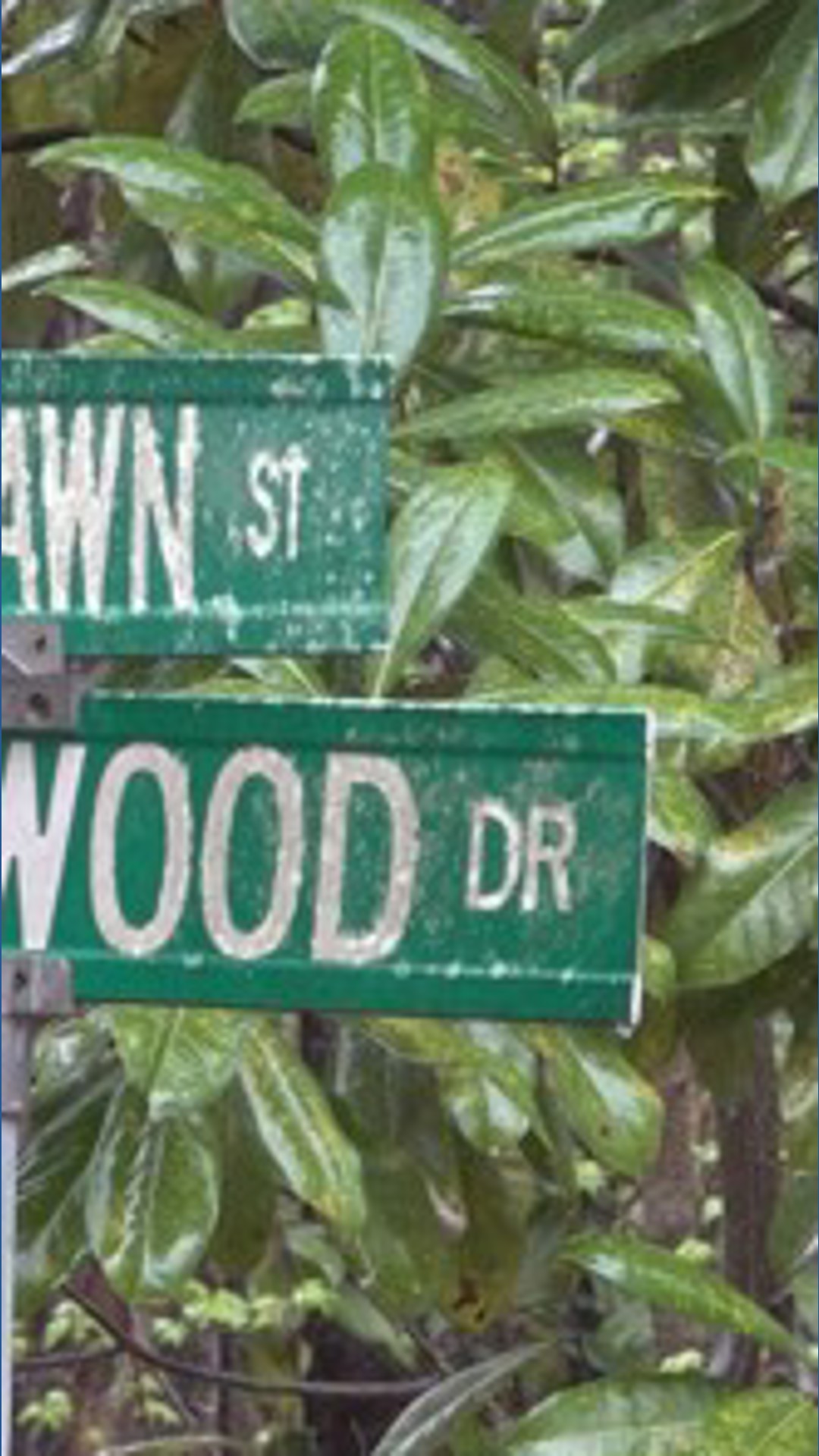 New 107-home subdivision in Batesburg-Leesville focuses on affordable ...