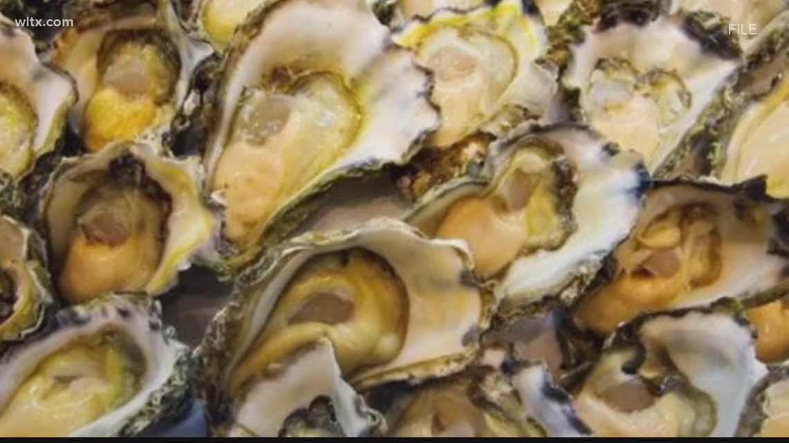 Shellfish season opens on October 1 | wltx.com