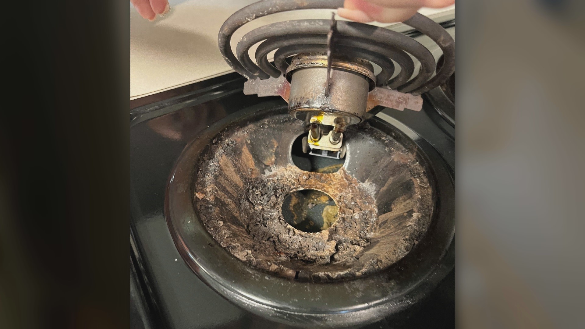 Families find 'filthy' conditions for college move in | wltx.com