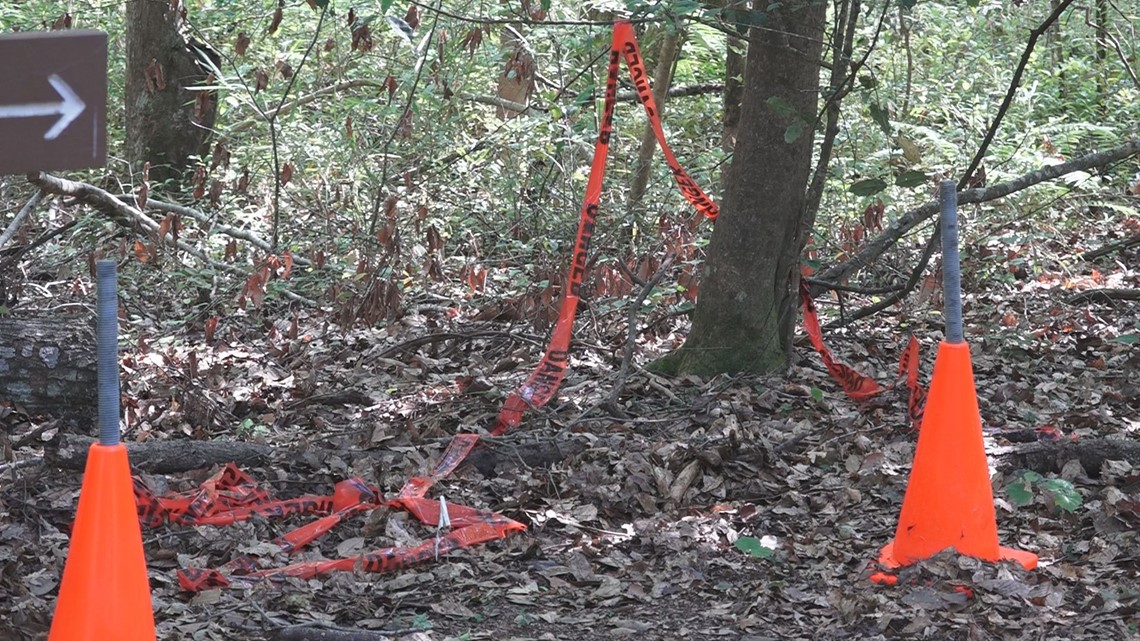 Congaree National Park working to manage feral hog problem | wltx.com