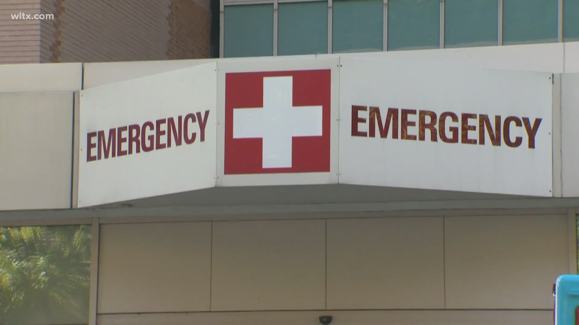 Upstate Measles cases top over 200 | wltx.com