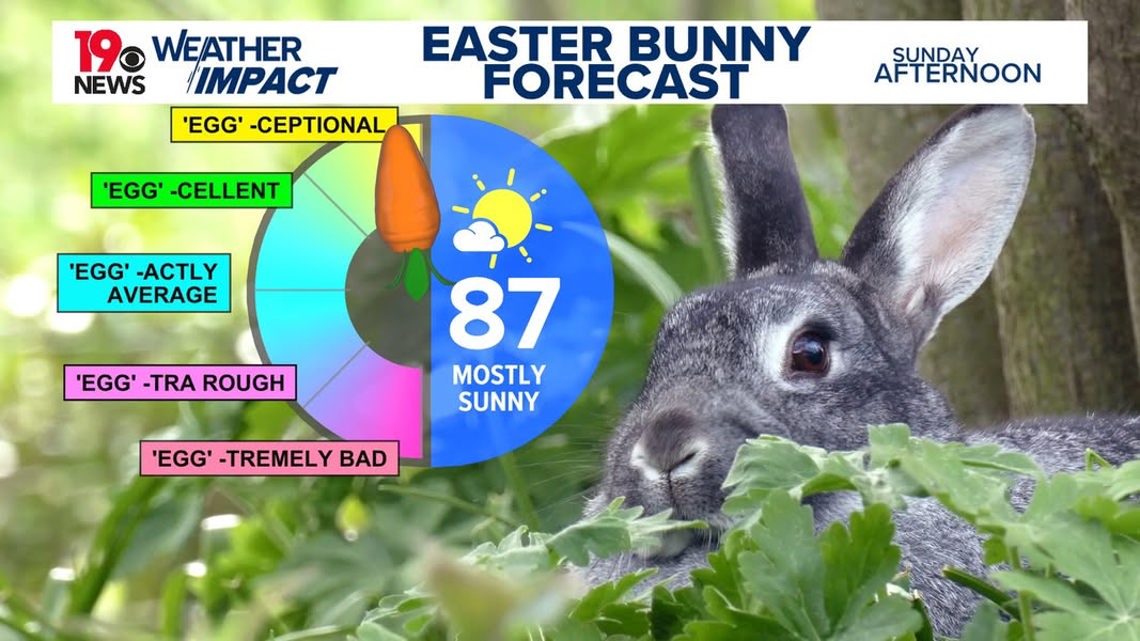 Warm Easter Sunday in Columbia with storms likely by midweek | wltx.com