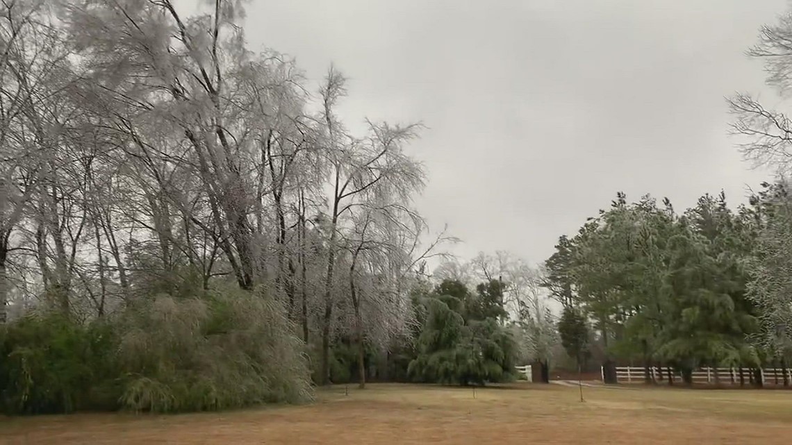Ice storm trees | wltx.com