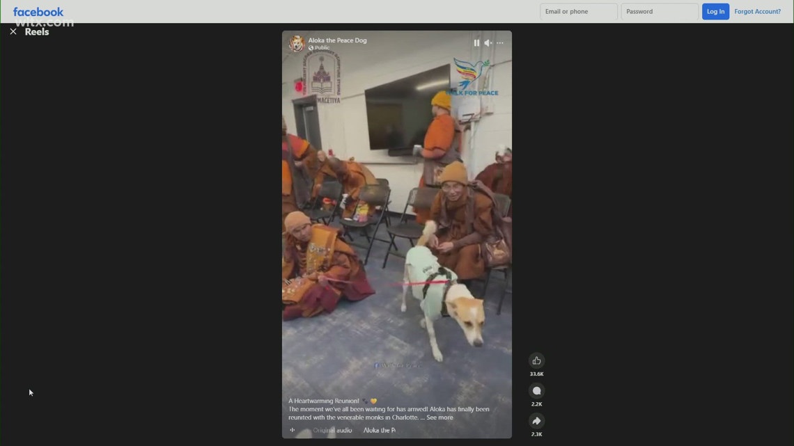 Monks 'Walk for Peace' enters Charlotte | wltx.com