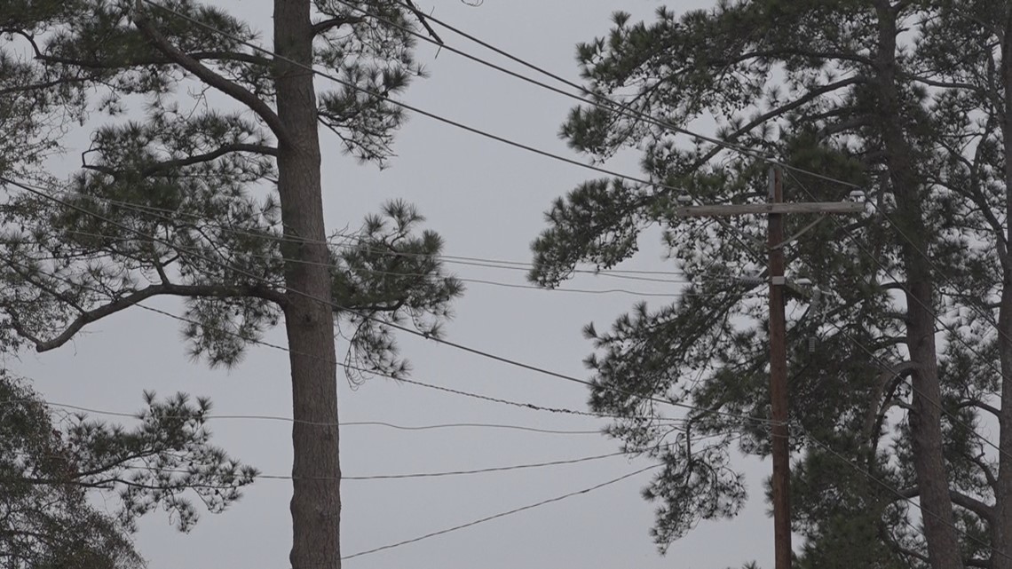 Crayton Middle School, Forest Acres partner to bury power lines | wltx.com