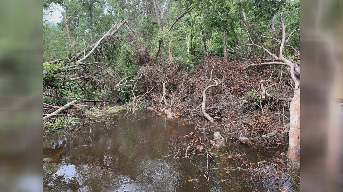 Cleanup of the Edisto River after storms leave debris blocking ...