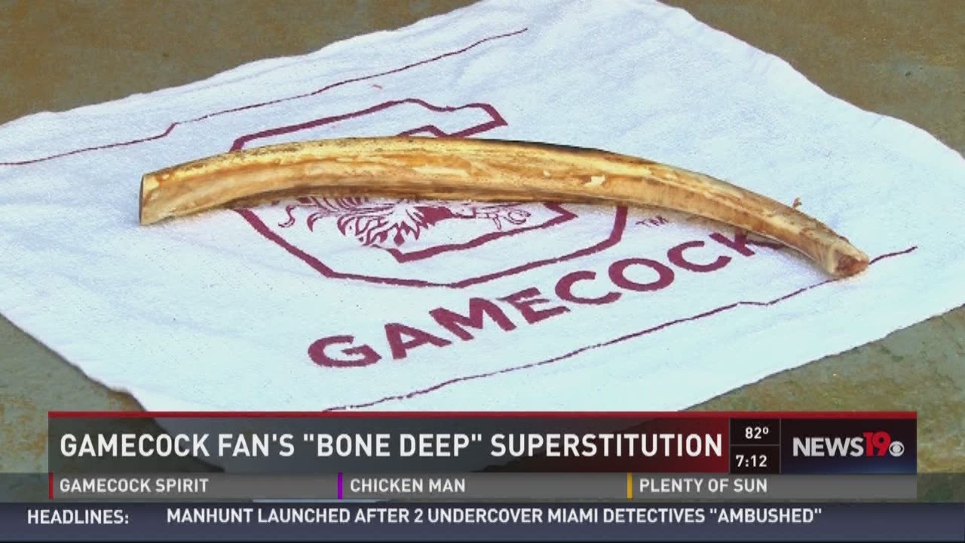 Bone Brings Good Luck to Gamecock Family | wltx.com