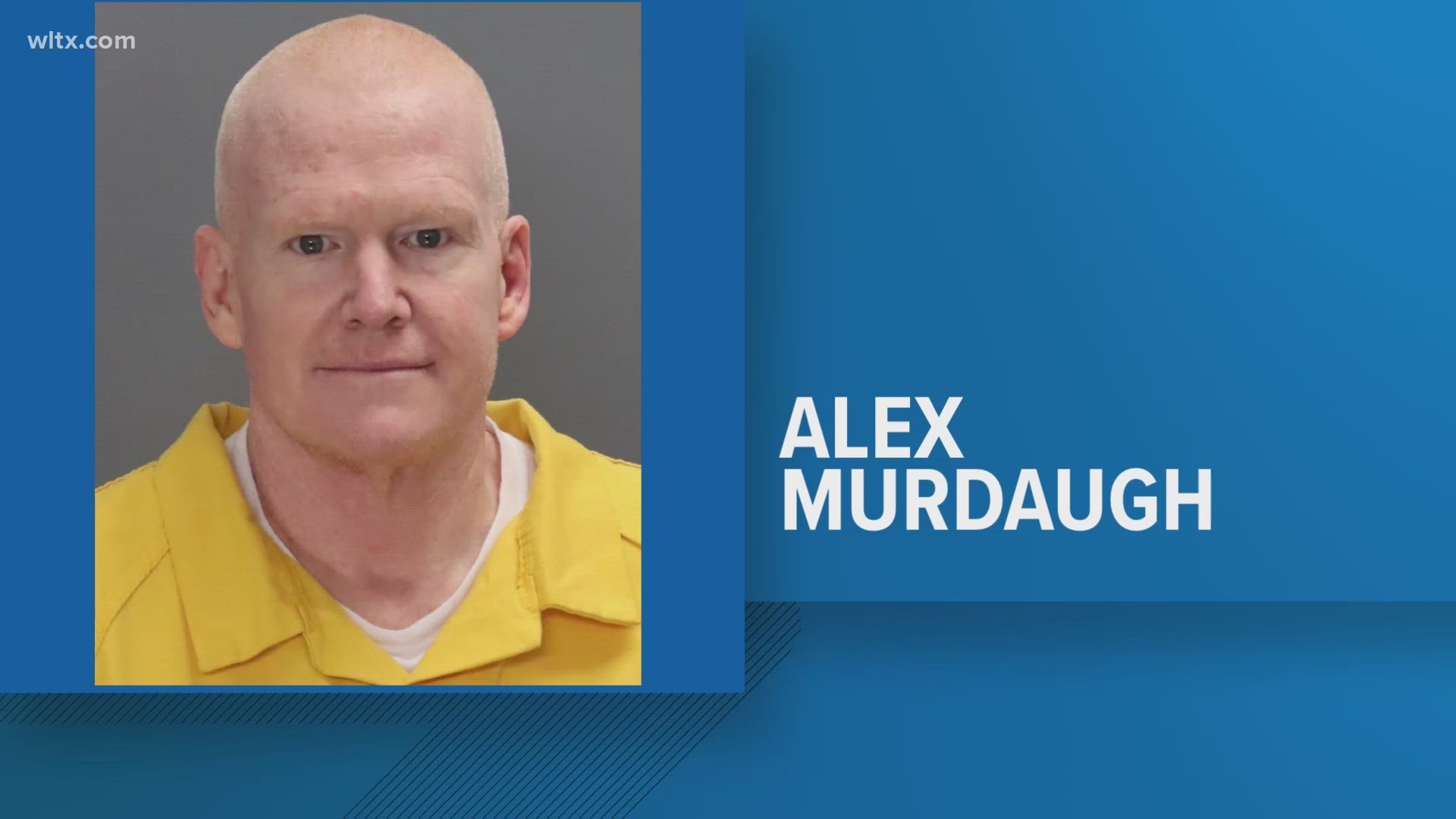 Notice of Appeal filed for Alex Murdaugh | wltx.com