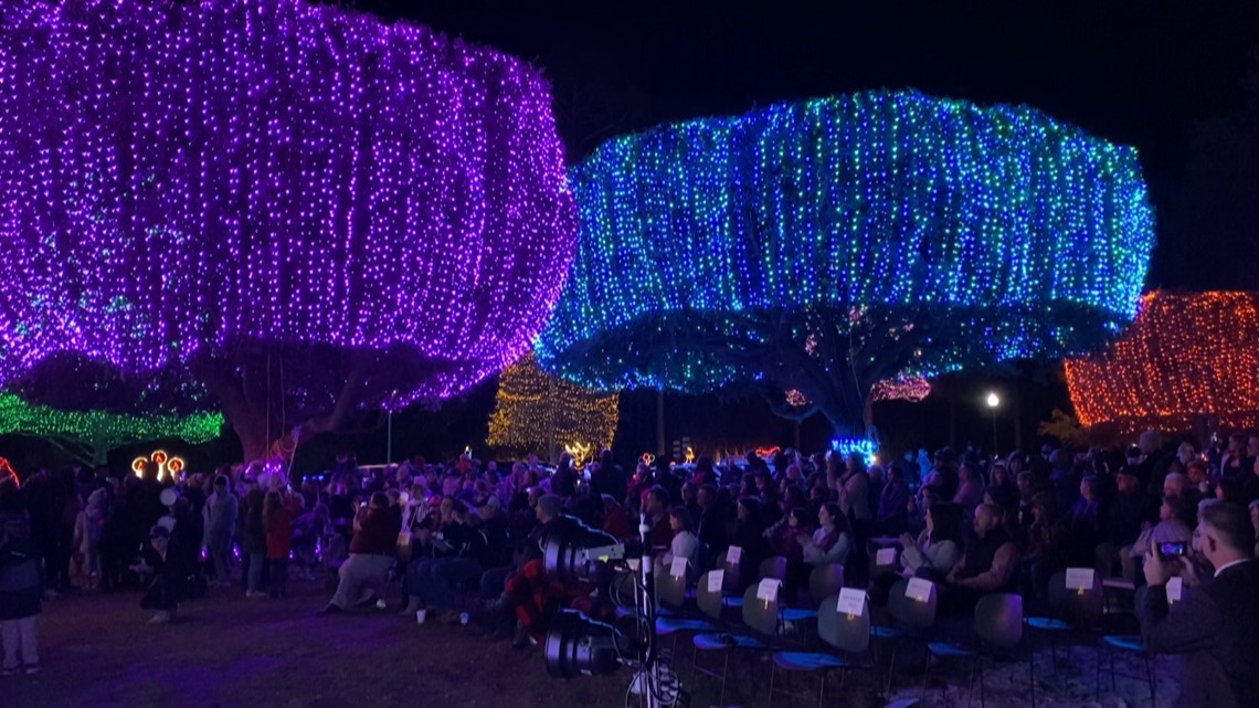 Sumter's Fantasy of Lights unites generations for the 35th year | wltx.com