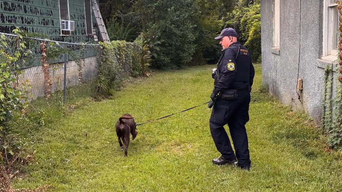 Catone selected to head SC Dept. of Social Services | wltx.com