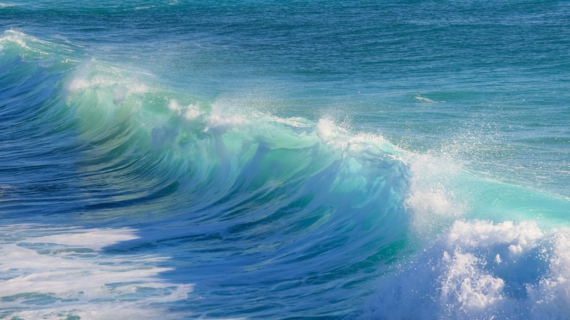 Surfer stabbed by swordfish "died doing what she loved" | wltx.com