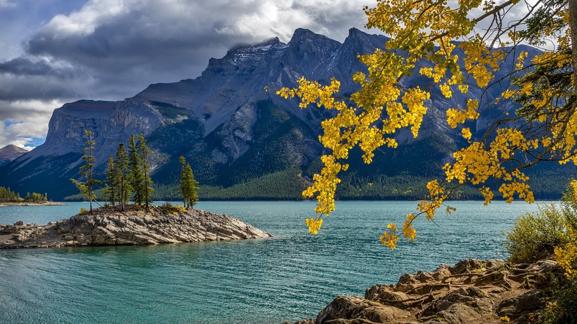 Family reveals final message sent from couple killed by grizzly | wltx.com