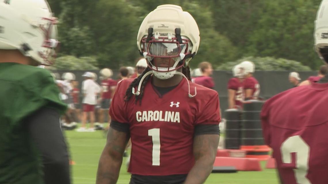 SC DHEC streamlines pre-application process for WIC | wltx.com