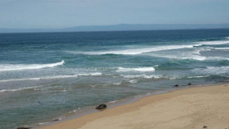 How to identify rip currents and what to do if caught in one | wltx.com