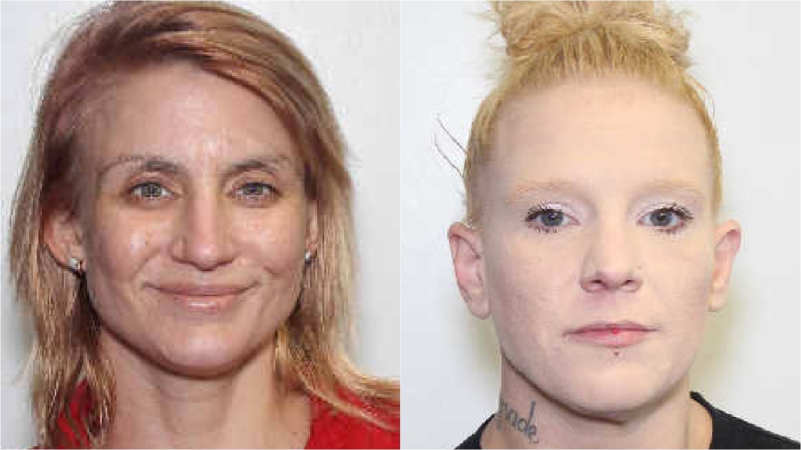 Update in death of two women found dead in South Carolina field | wltx.com