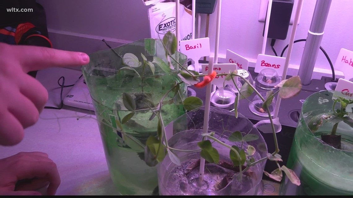 Pace Academy students learning to grow plants on the moon | wltx.com