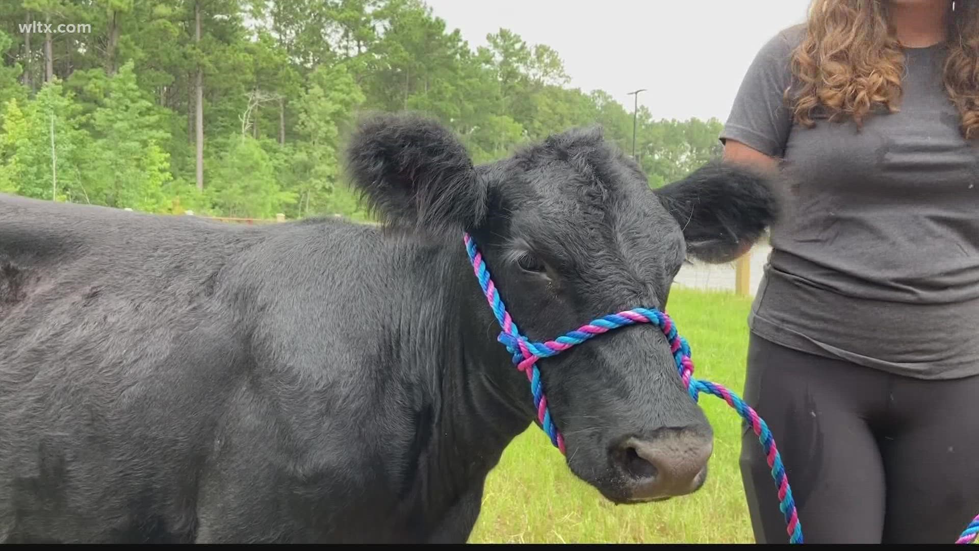 Meet Delilah who's teaching students at Woolard Technology Center ...
