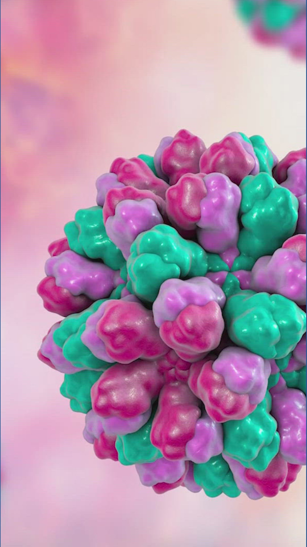 First 2025 flu-related death reported in South Carolina | wltx.com