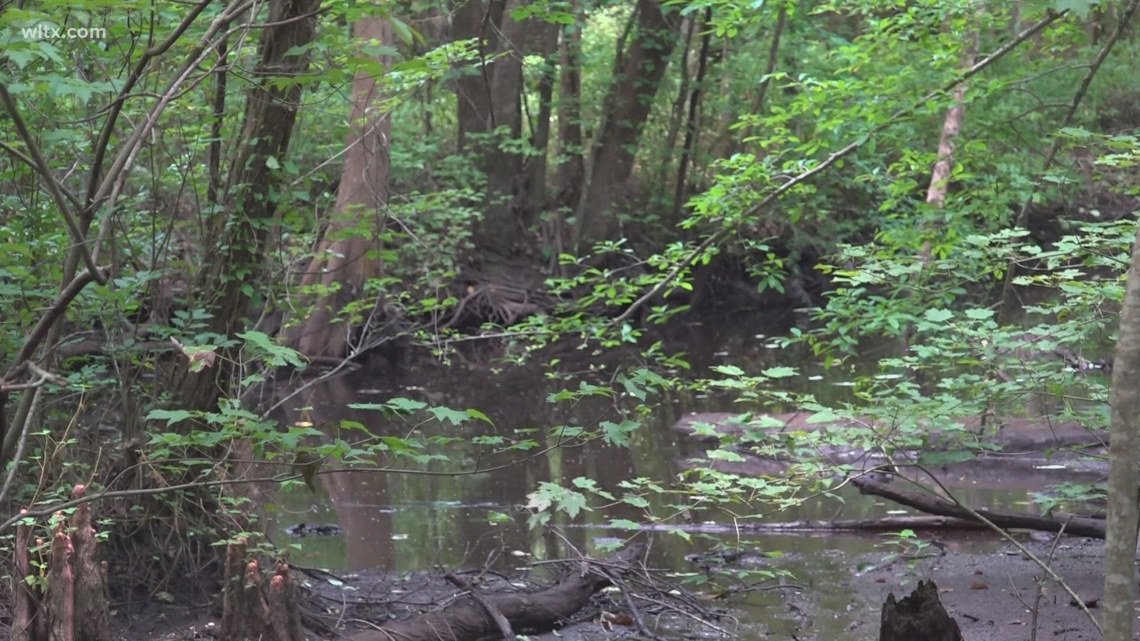 A river in Sumter, according to a report, has the highest amount of ...