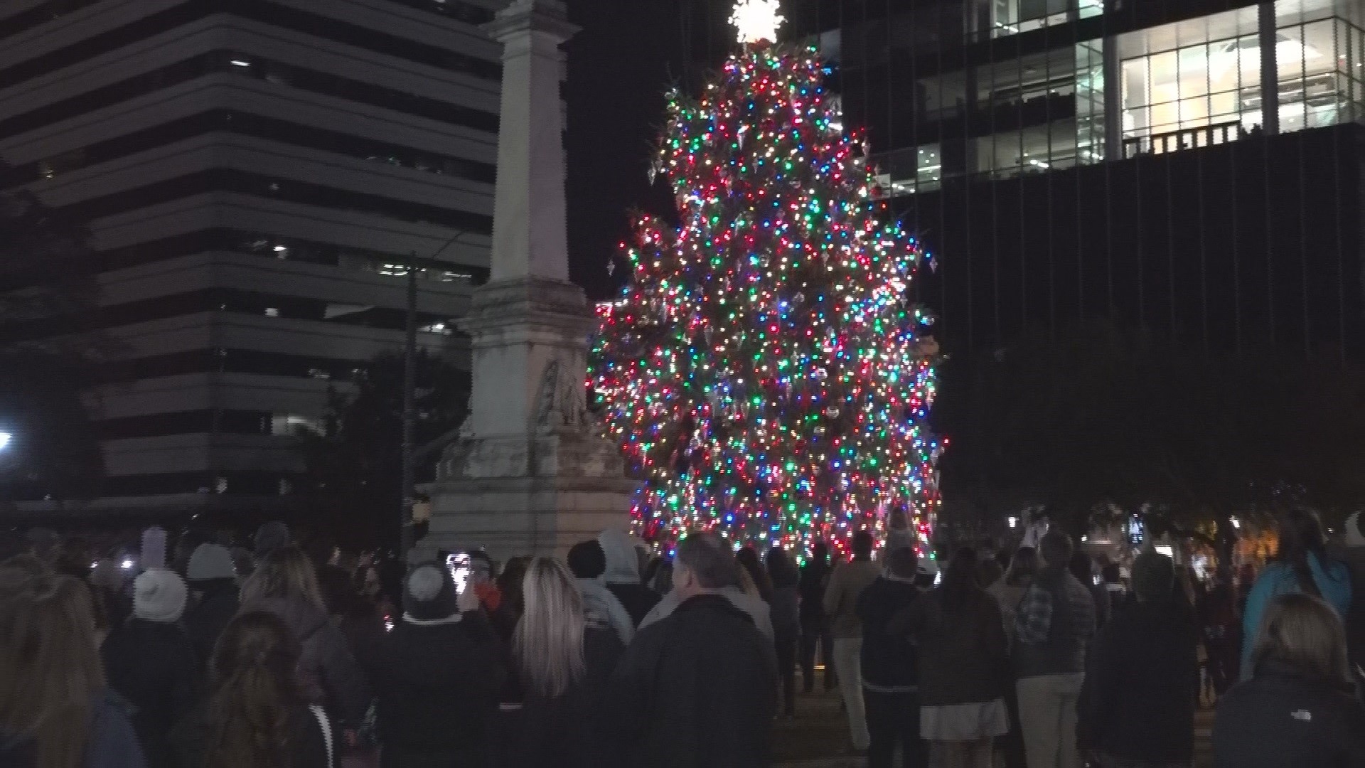 South Carolina Christmas tree lights up kicking off holiday | wltx.com