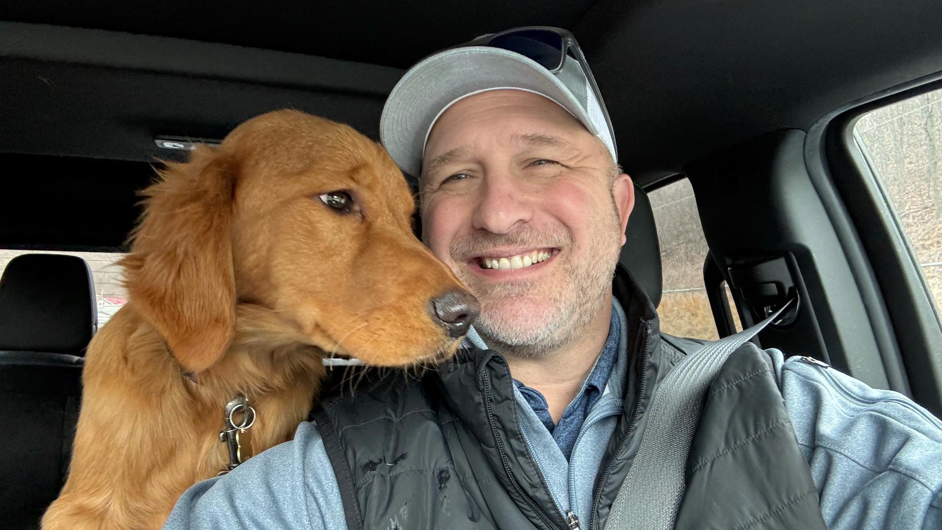Lost golden retriever Freddy found in Sharp Mountain coal pit after a ...