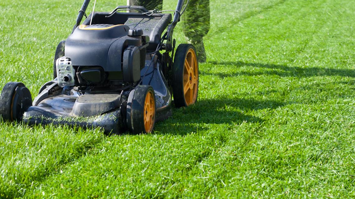 Town of Irmo offers Loan a Mower Program for residents | wltx.com