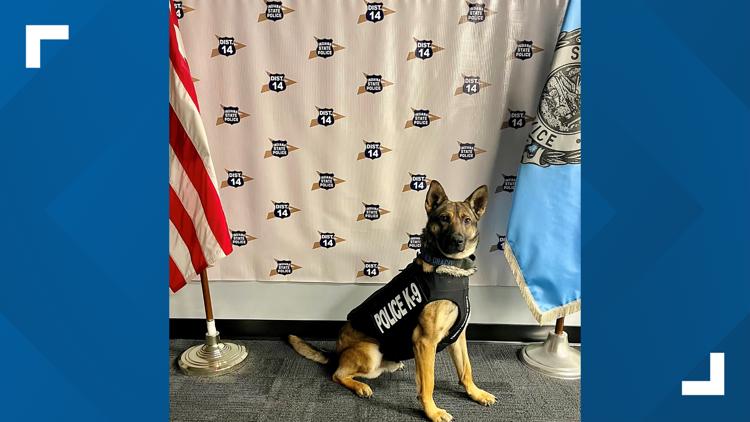 Wynter Straw identified as woman killed in Mallet Hill Road kiill ...