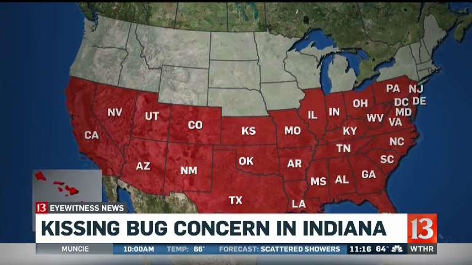 CDC warns kissing bugs in Indiana can spread deadly Chagas disease ...