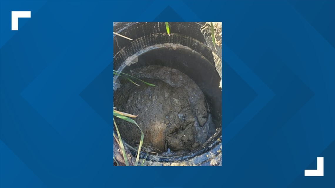 Flushed face masks clogs sewers | wltx.com